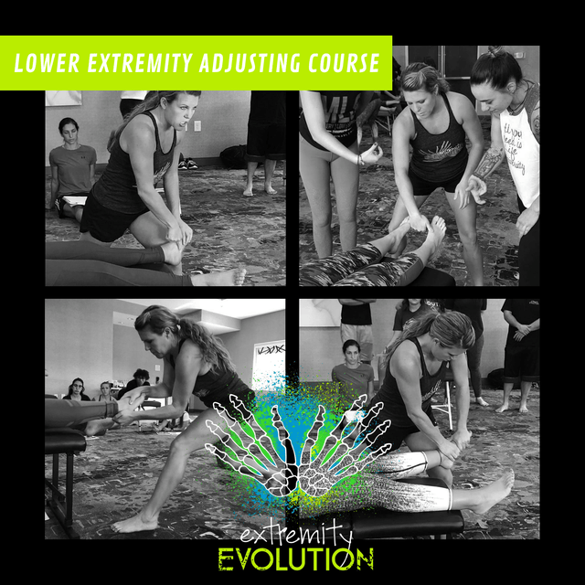 FULL EXTREMITY ADJUSTING COURSE – Extremity Evolution